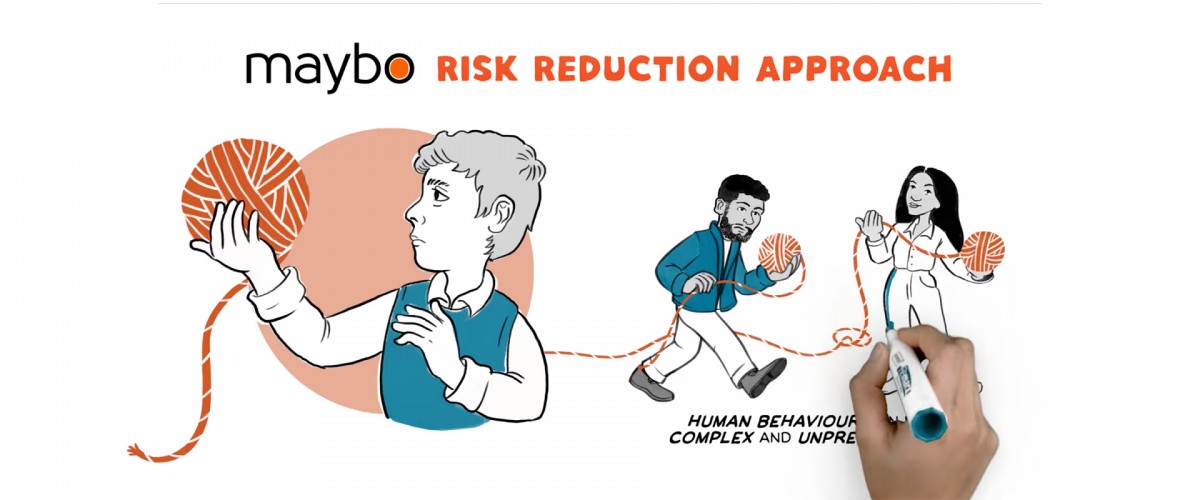 Maybo's Approach to Risk Reduction in 3 minutes